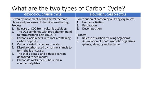The Carbon Cycle Systems of Planet Earth | PPTX | Chemistry | Science