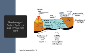 The Carbon Cycle Systems of Planet Earth | PPTX