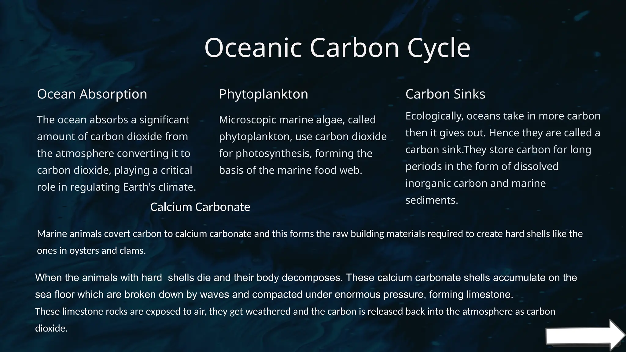 carbon cycle a presentation on geography | PPTX