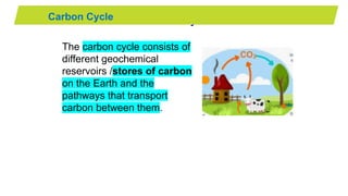 Carbon cycle science powerpoint slide.pptx