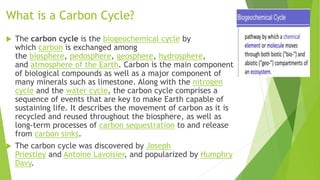 Carbon cycle | PPTX