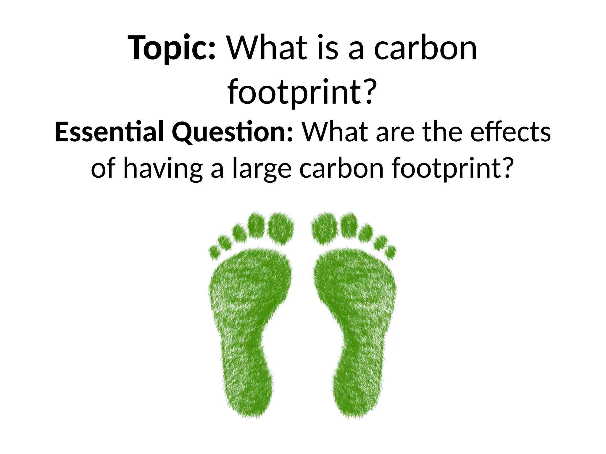 Carbon cycle and footprint - Basics of the carbon cycle and how to ...