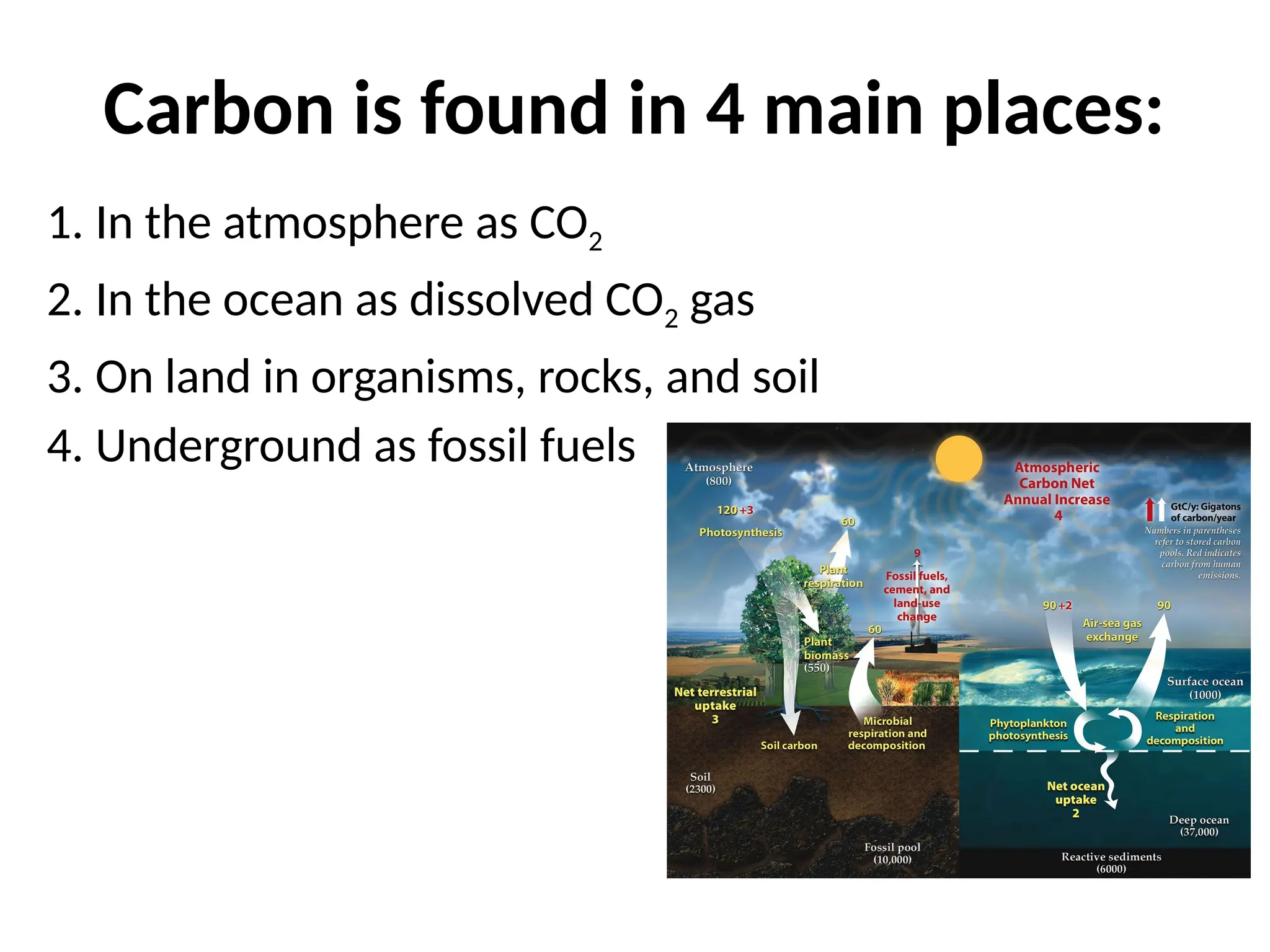 Carbon cycle and footprint - Basics of the carbon cycle and how to ...