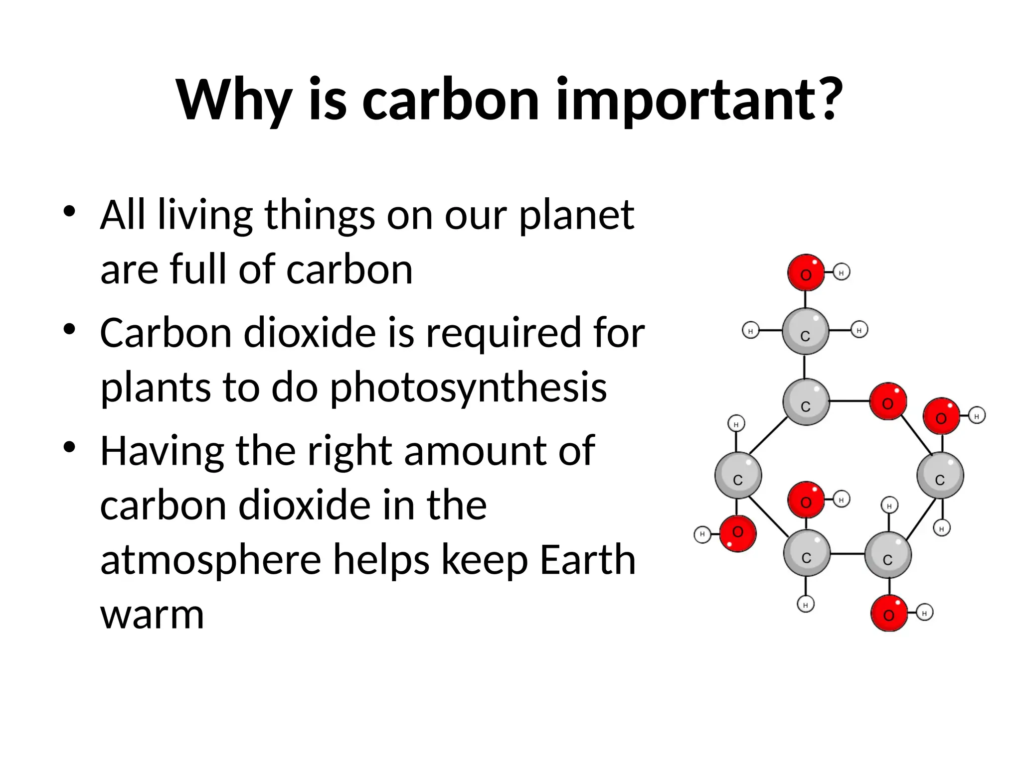 Carbon cycle and footprint - Basics of the carbon cycle and how to ...