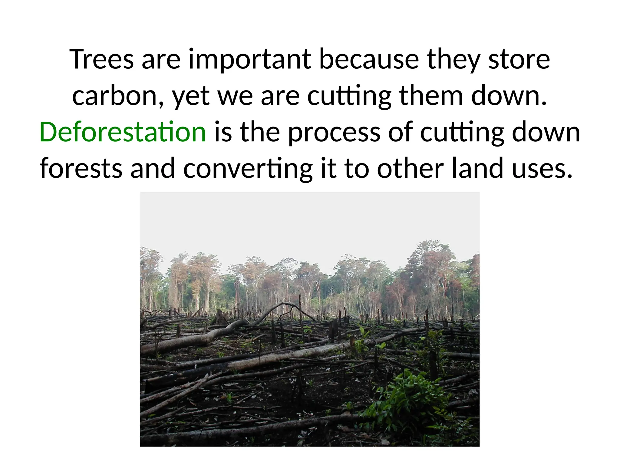 Carbon cycle and footprint - Basics of the carbon cycle and how to ...