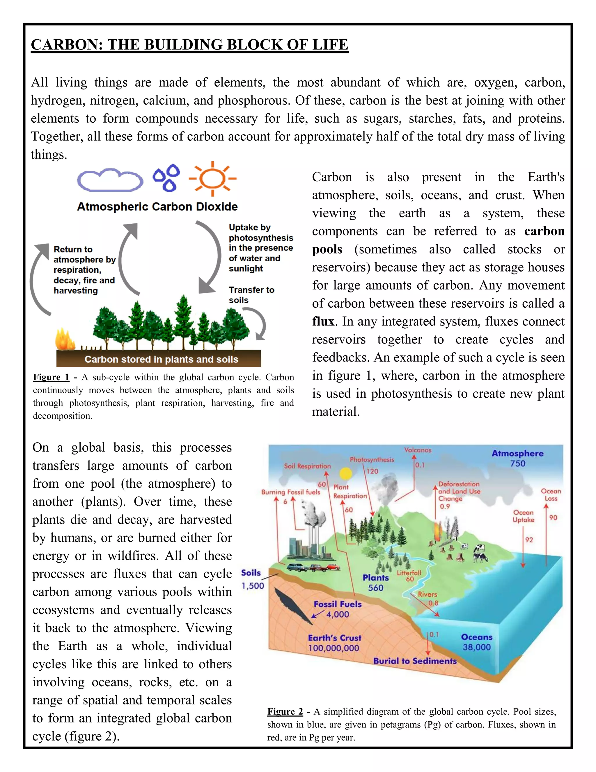 Carbon cycle and global concerns on environment | PDF