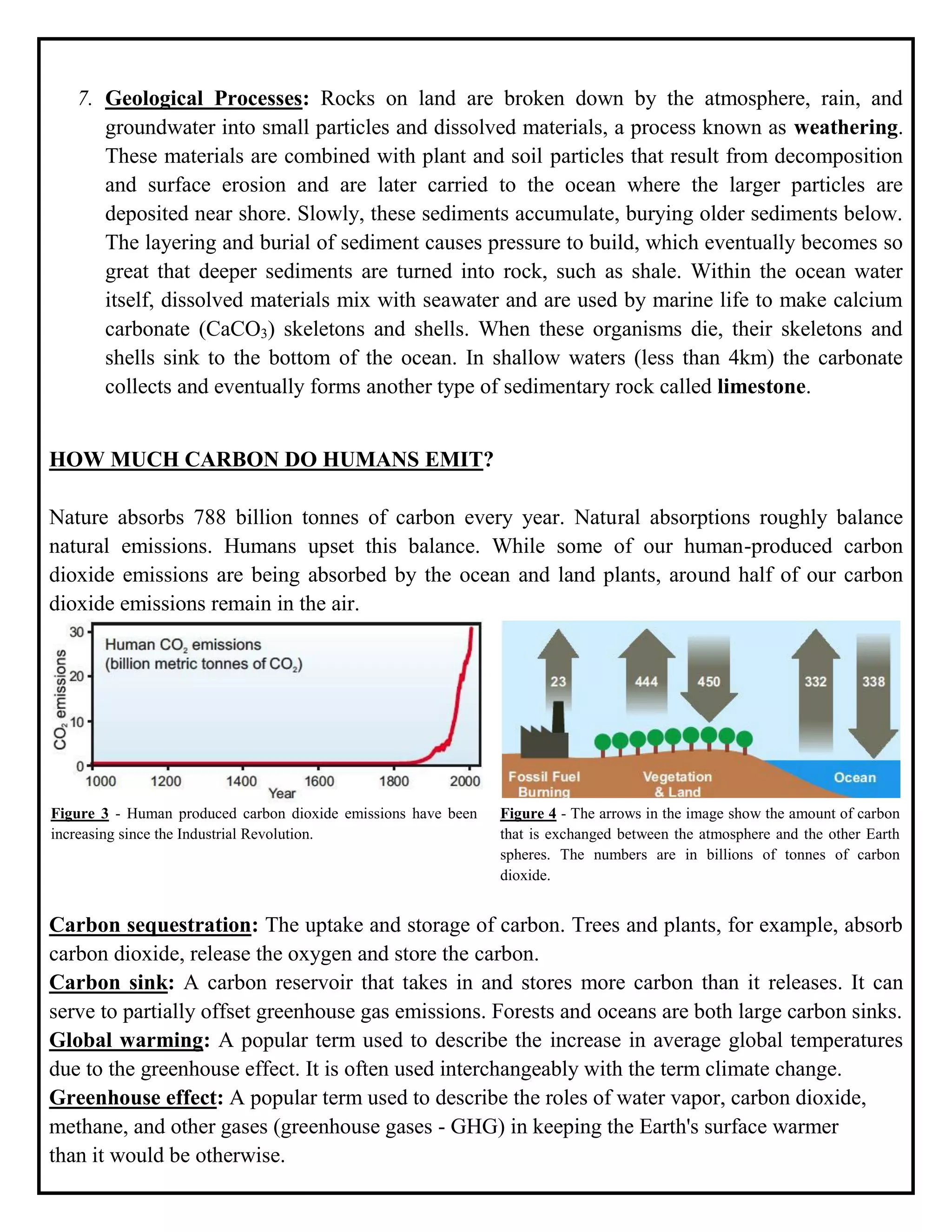 Carbon cycle and global concerns on environment | PDF | Chemistry | Science