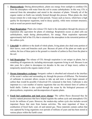 Carbon cycle and global concerns on environment | PDF
