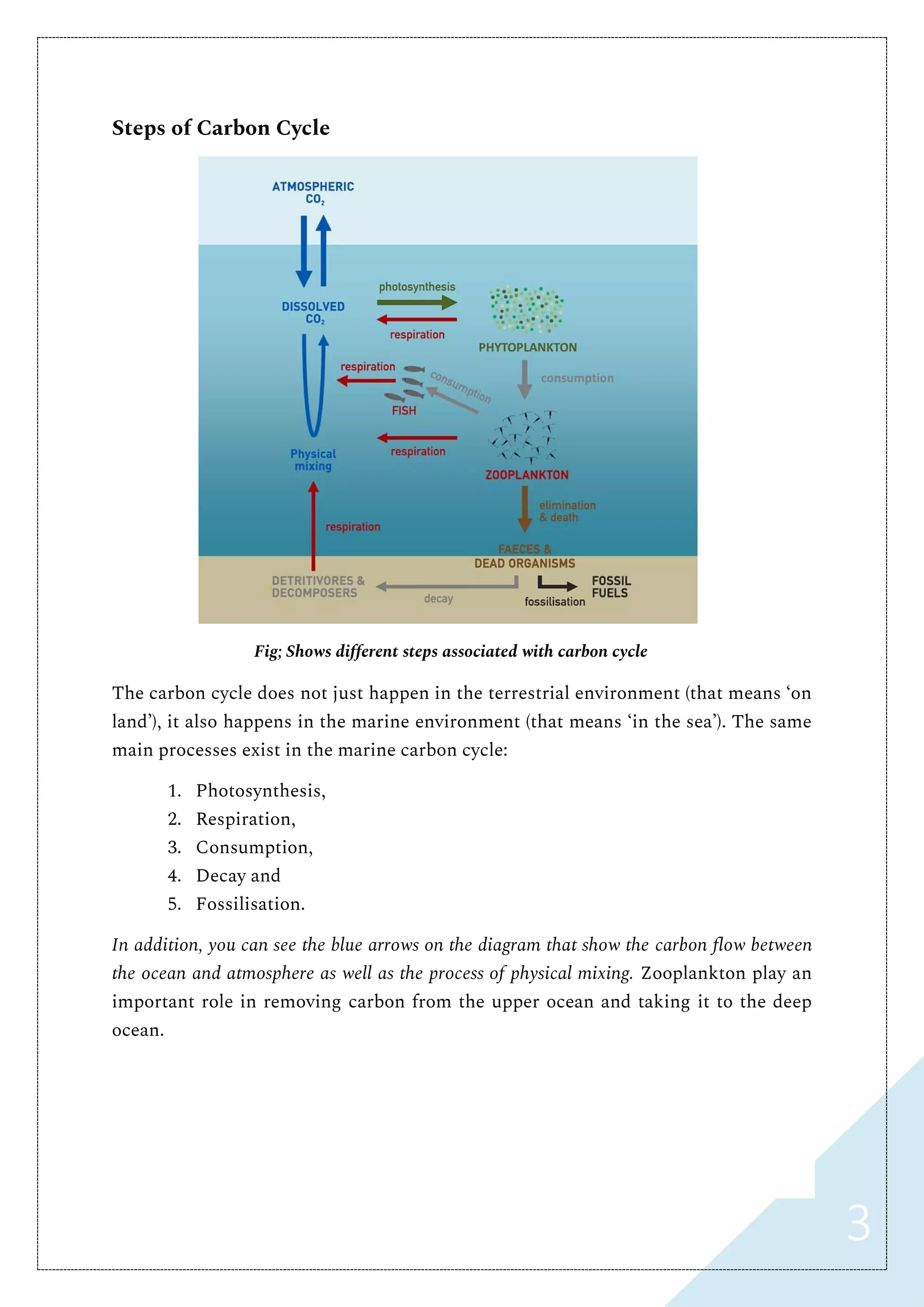 Carbon Cycle in Oceanic Environment by Syekat | PDF