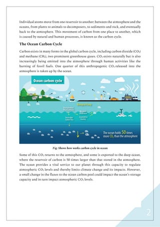 Carbon Cycle in Oceanic Environment by Syekat | PDF