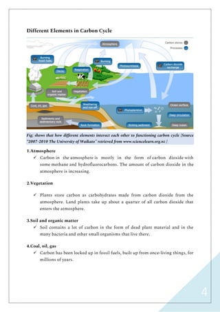 Carbon Cycle in Oceanic Environment by Syekat | PDF