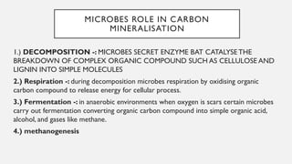 carbon cycle details presentation in ppt form.pptx