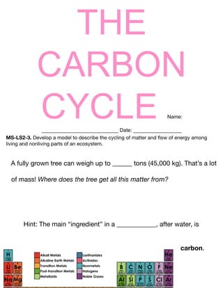 Carbon Cycle Guided Notes.pdf environmental science | PDF