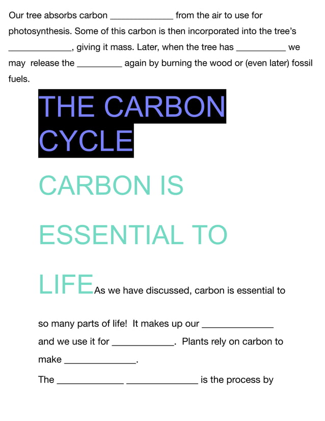 Carbon Cycle Guided Notes.pdf environmental science | PDF