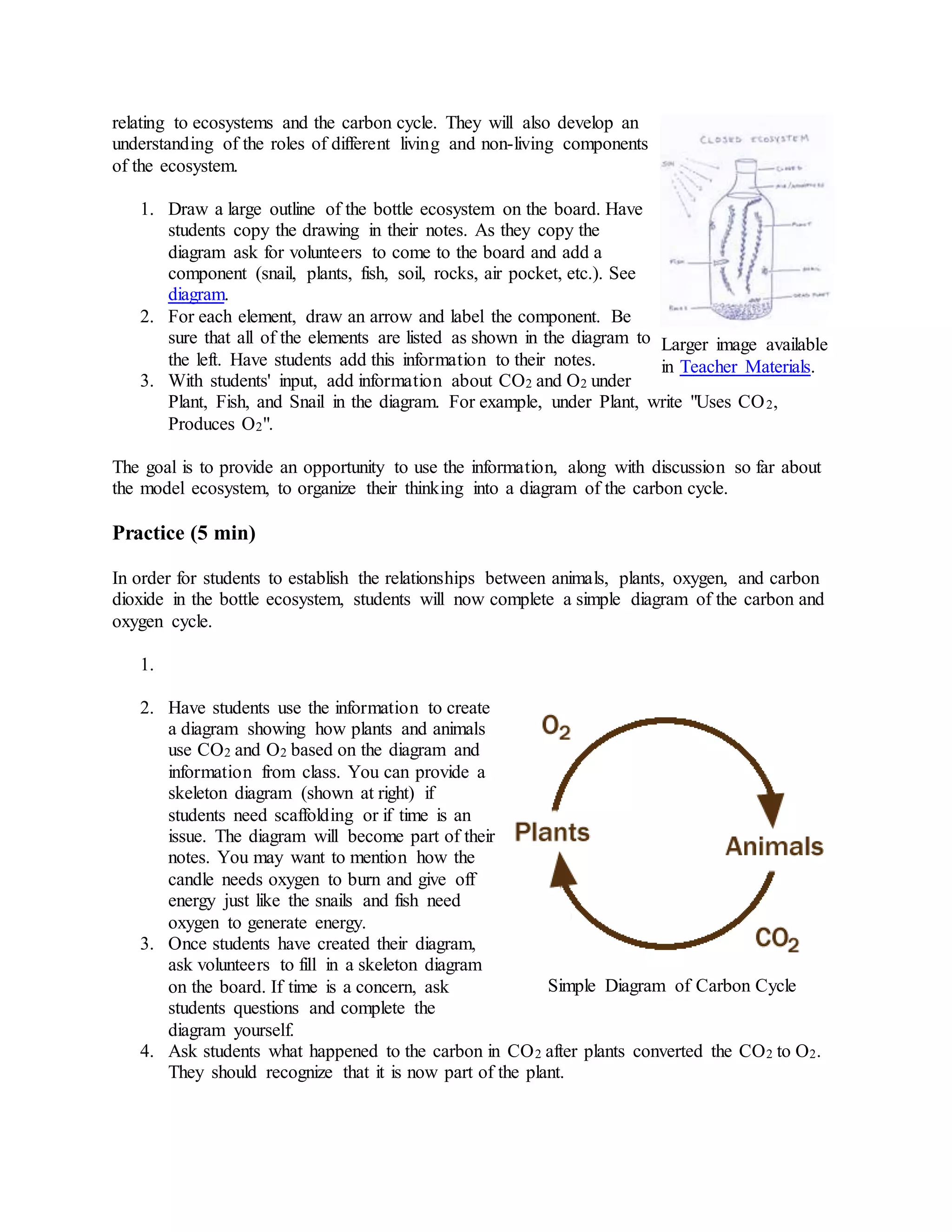 Carbon cycle lesson plan | DOCX