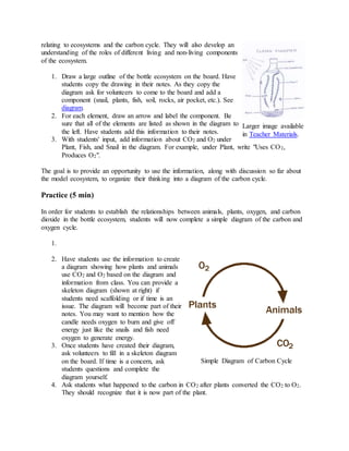 Carbon cycle lesson plan | DOCX