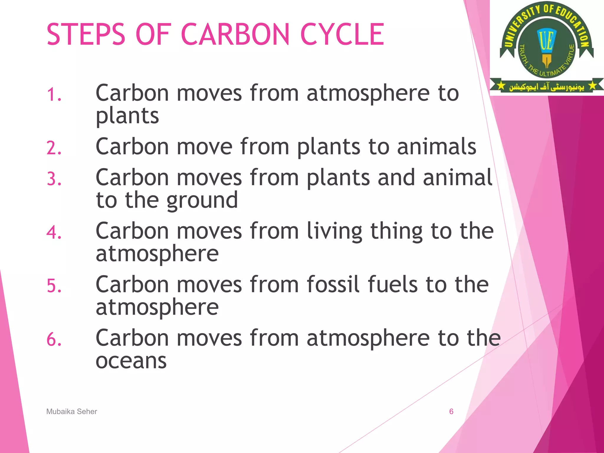 Carbon cycle notes | PDF