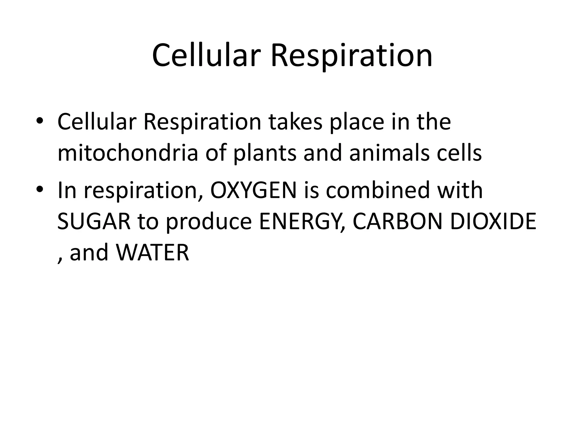 Carbon cycle ppt | PPTX