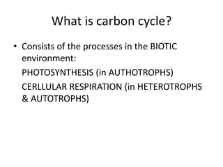 Carbon cycle ppt | PPTX