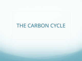 Carbon Cycle PPT.pptx.kugliugliugliugliugl | PPTX