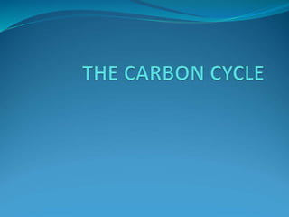 carbon cycle ppt 2.pptx