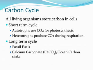 carbon cycle ppt 2.pptx