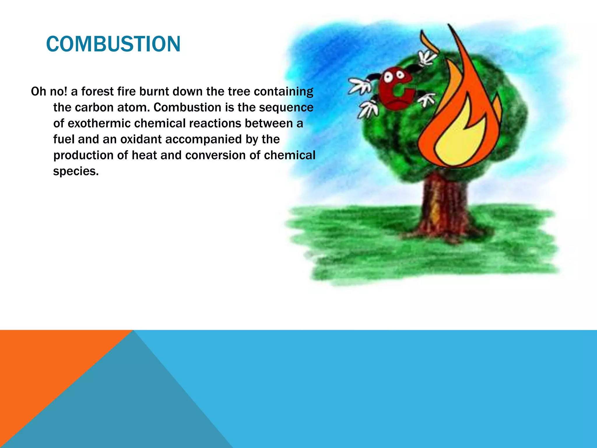 Carbon cycle project | PPTX