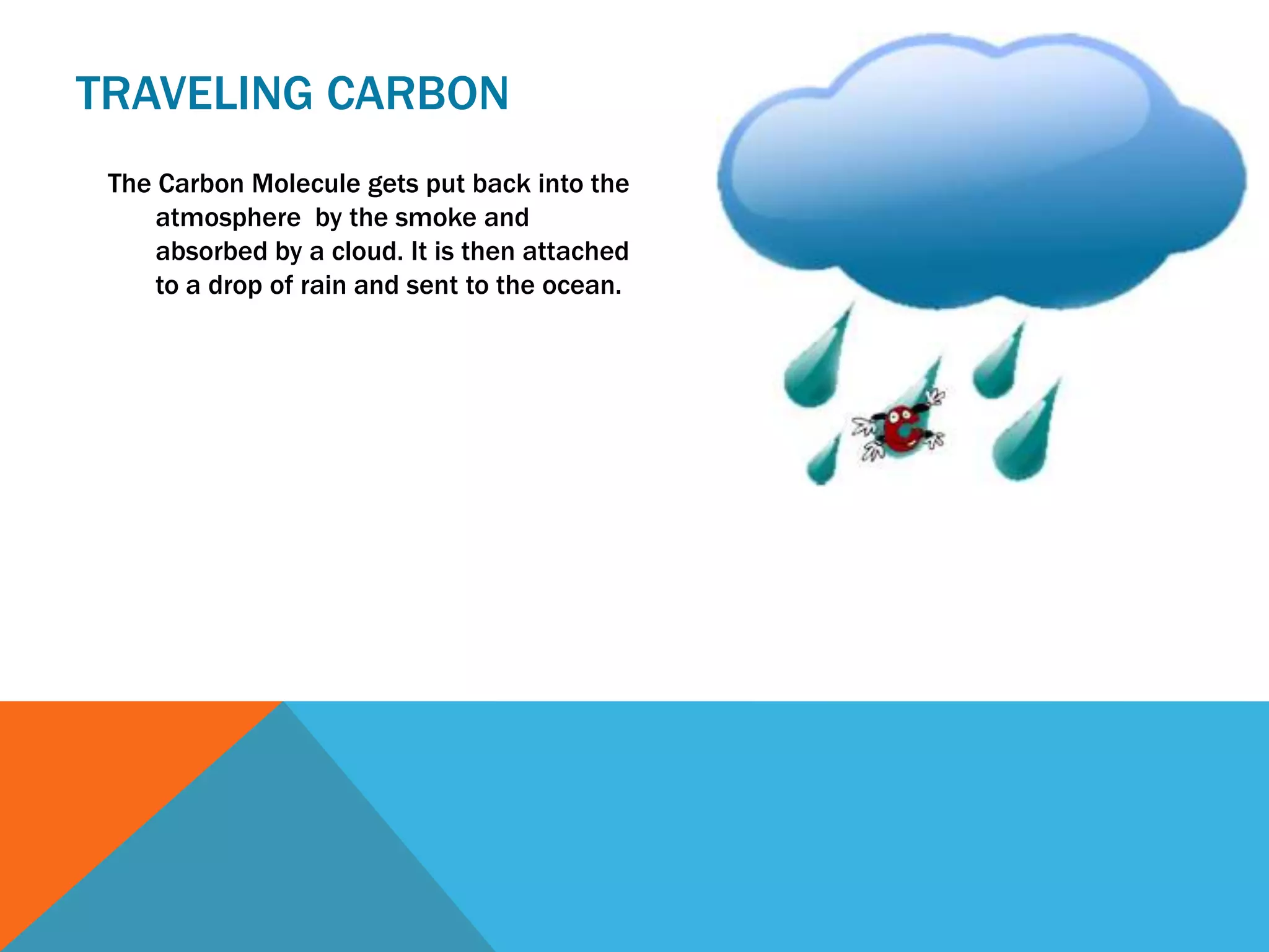 Carbon cycle project | PPTX