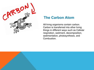 Carbon cycle project | PPTX