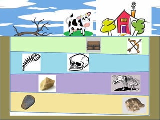 Carbon dating activity using graph to guess ages. | PPTX