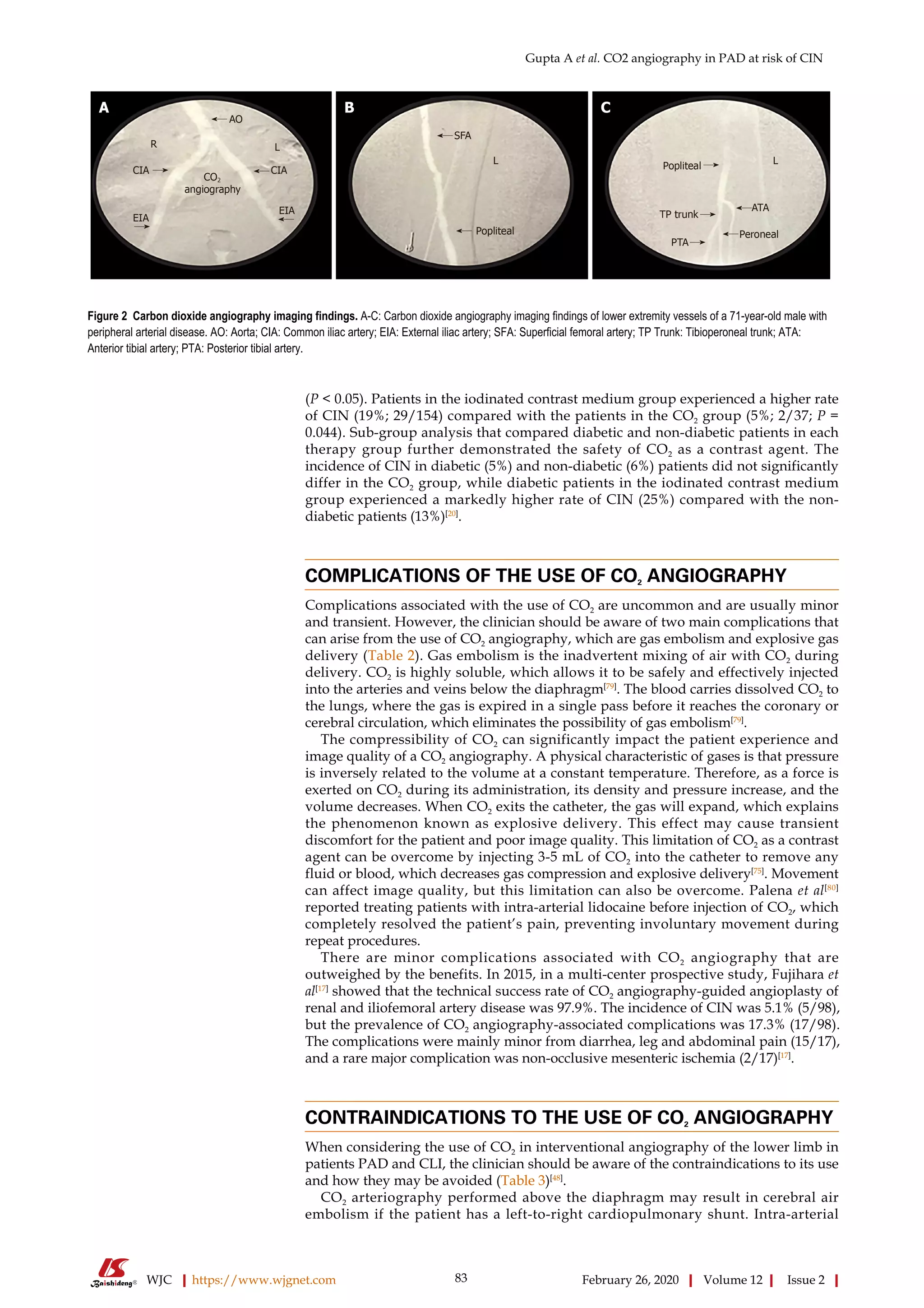 Carbon dioxide angiography | PDF