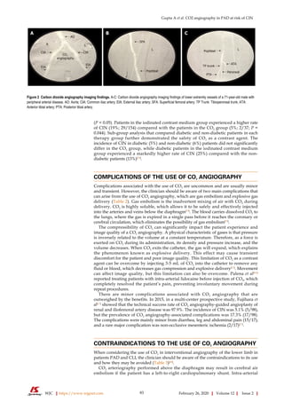 Carbon dioxide angiography | PDF