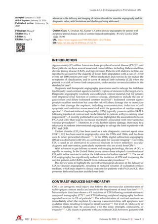 Carbon dioxide angiography | PDF