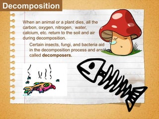 Carbon dioxide and oxygen cycle | PPTX