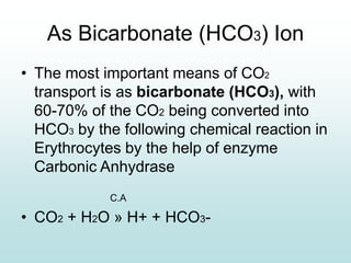 Carbondioxide transport | PPT