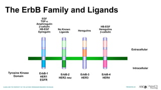 Novel Strategies for Attacking the Epidermal Growth Factor Receptor | PPT
