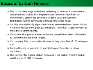 Carbon Finance Risks and Opportunities | PDF