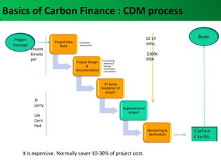 Carbon Finance Risks and Opportunities | PDF