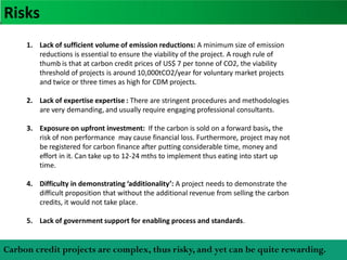 Carbon Finance Risks and Opportunities | PDF
