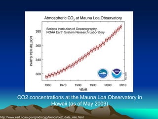Carbon Footprint.ppt