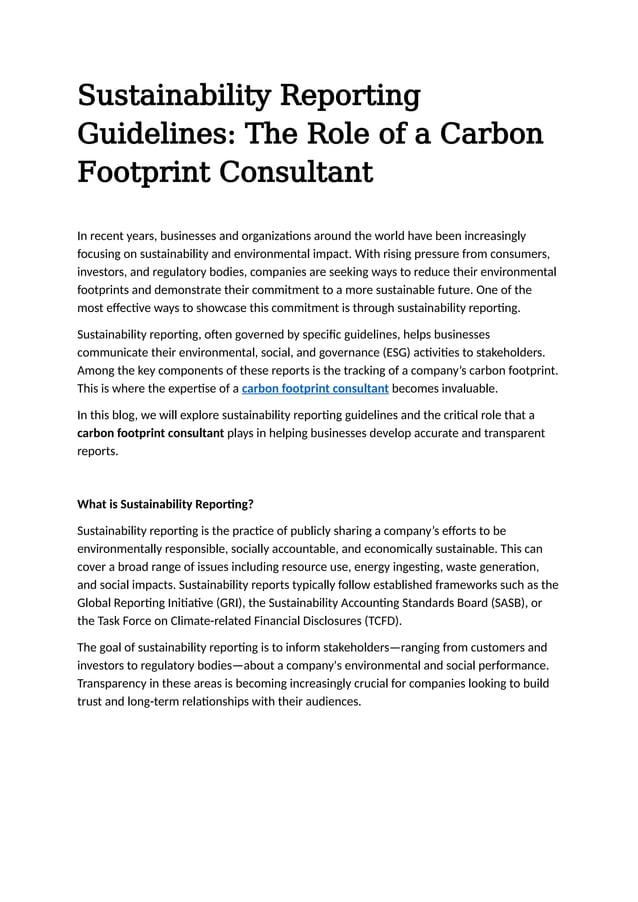 Sustainability Reporting Guidelines Role | PDF
