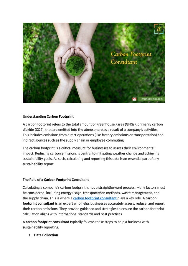 Sustainability Reporting Guidelines Role | PDF