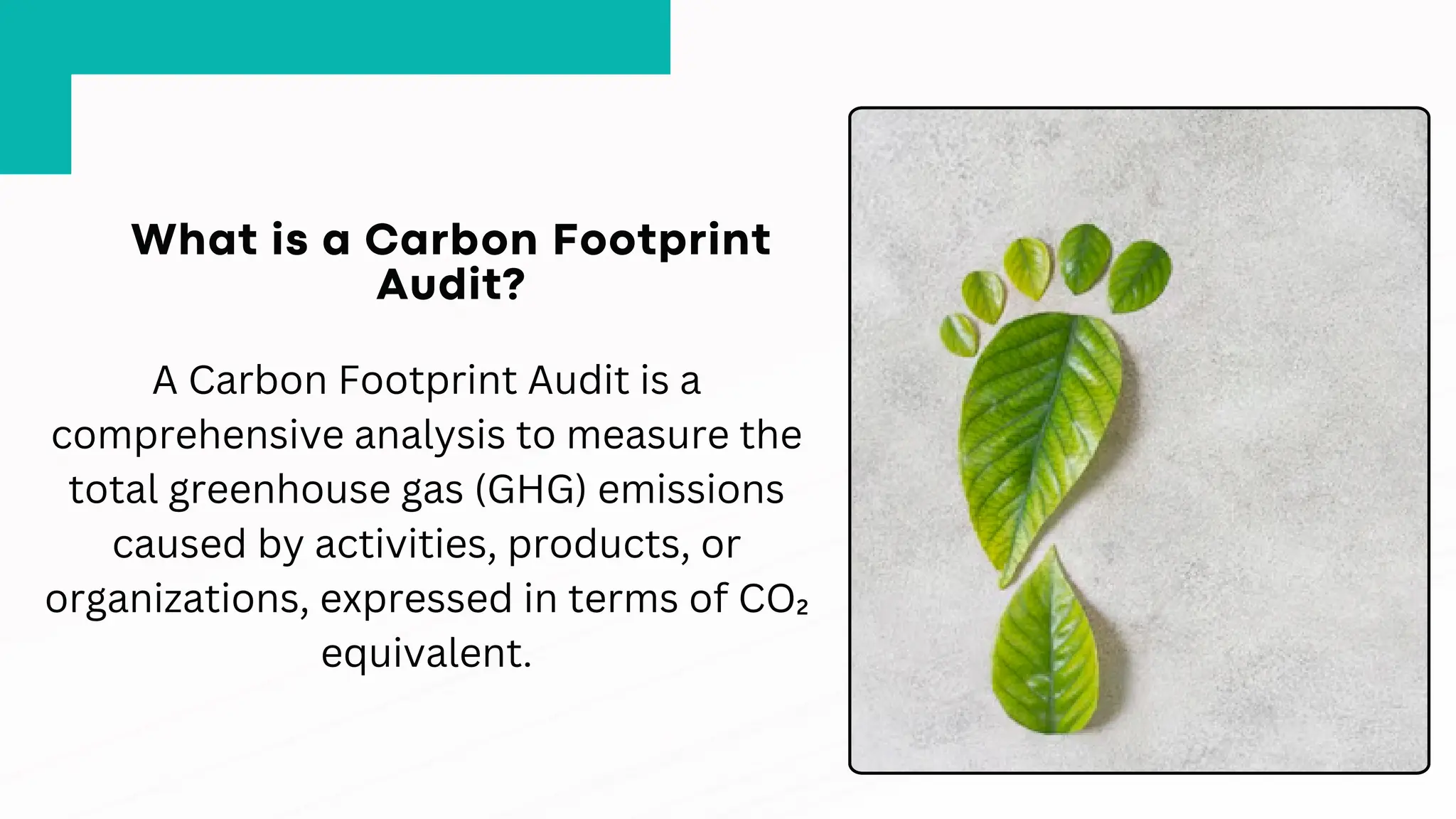 Carbon Footprint Audit A Step Towards Sustainability By Earthood | PDF