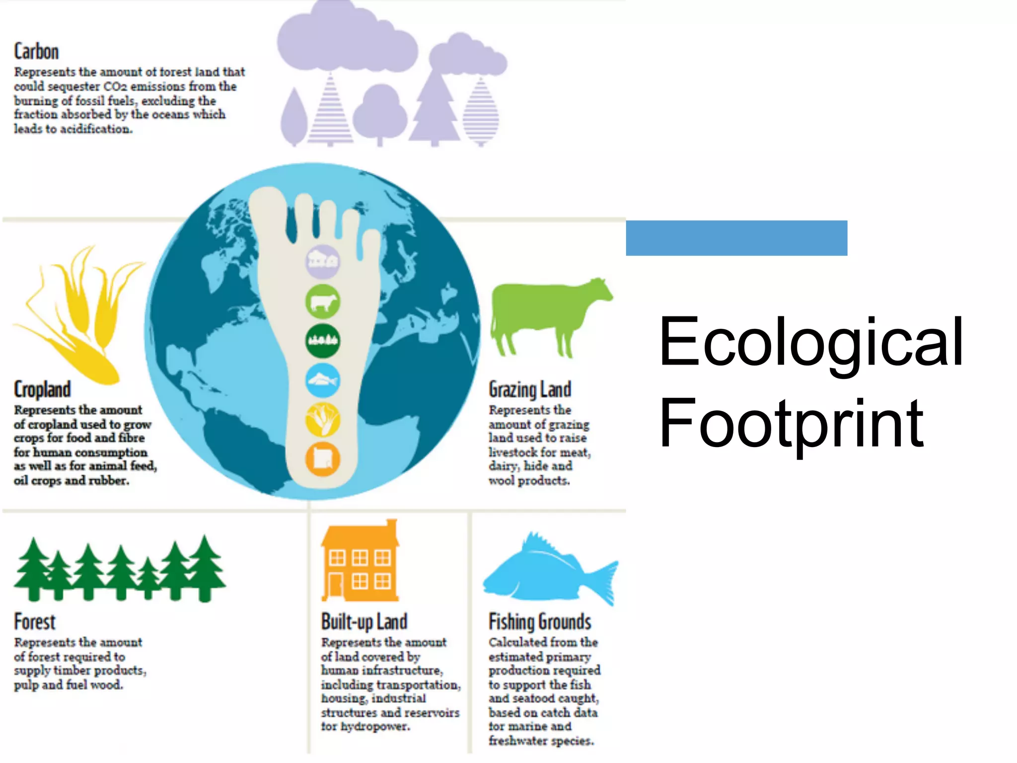 carbon and ecological footprint | PDF