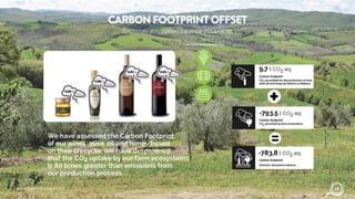 Carbon Footprint for Natural Wine: why it is important | PDF