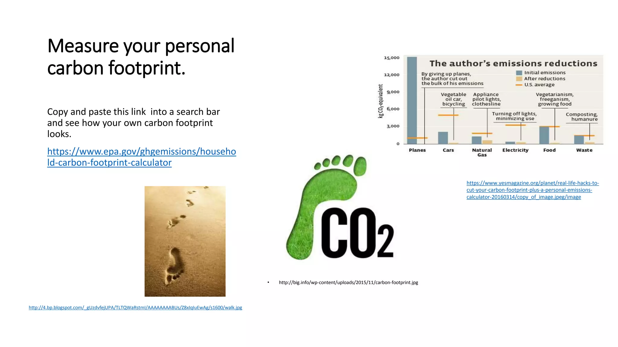 Carbon footprint what's that | PPT