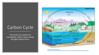 Carbon footprint what's that | PPT