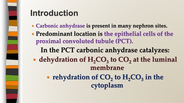 Carbonic Anhydrase Inhibitors Ppt