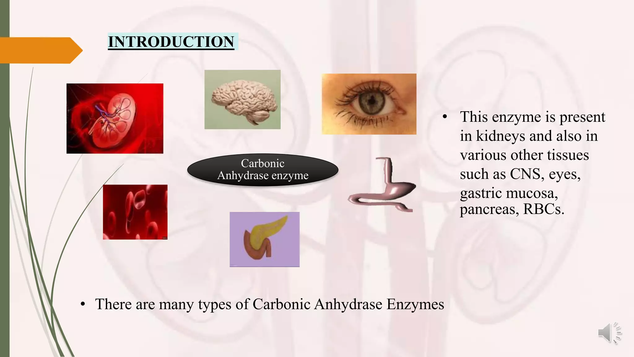 Carbonic anhydrase inhibitors | PPTX