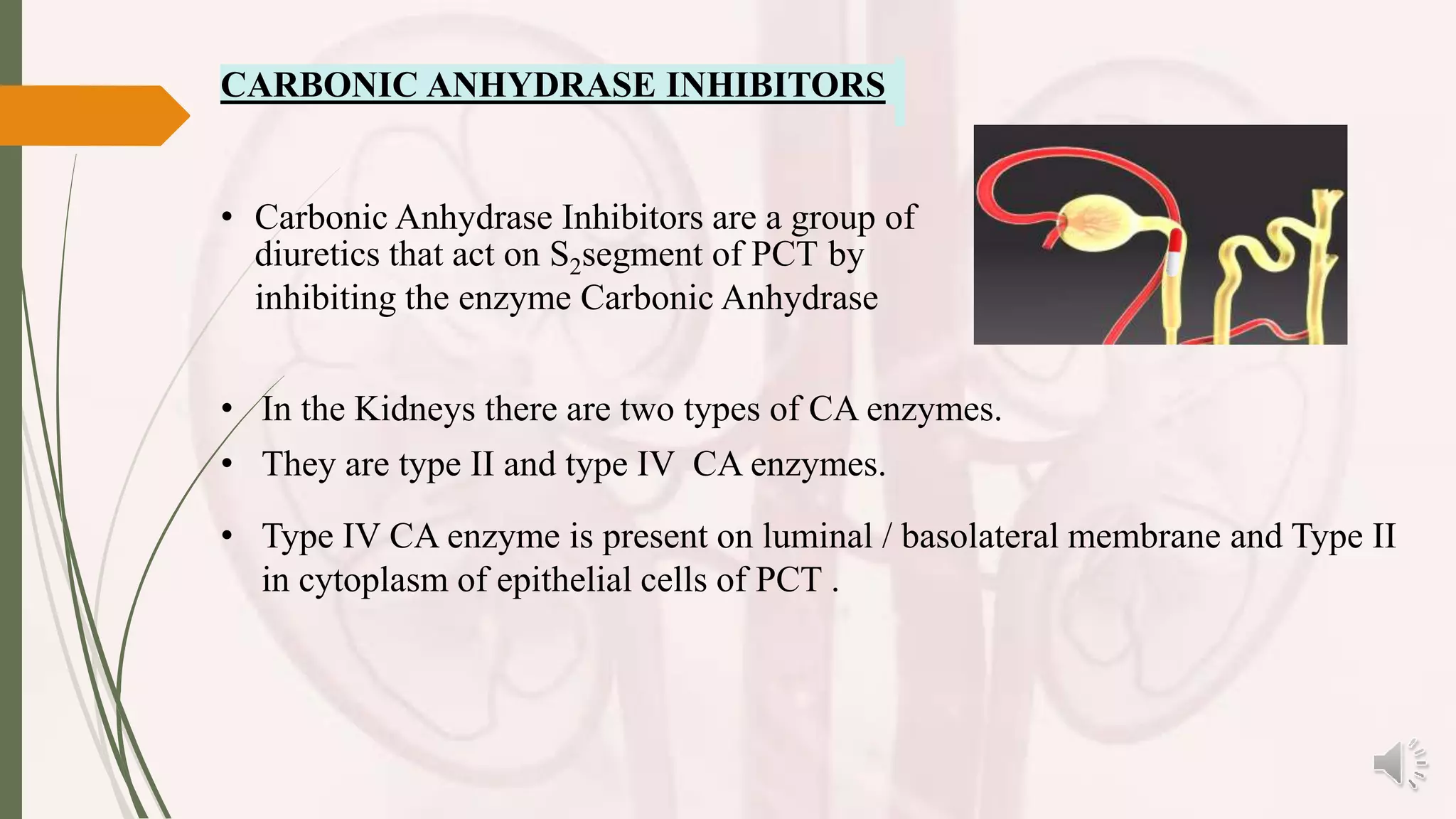 Carbonic anhydrase inhibitors | PPTX
